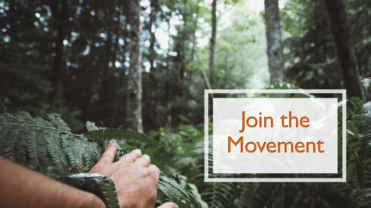A Beginner's Guide to Global Environmental Awareness A Beginner's Guide to Global Environmental Awareness