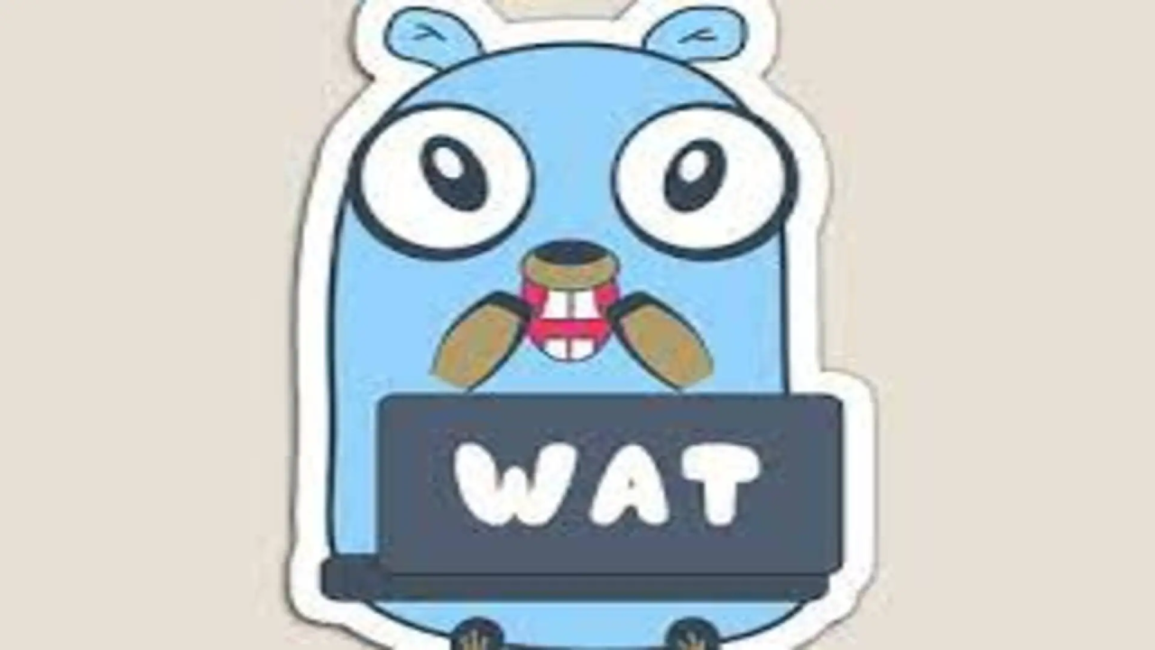 Exploring Four Potential Drawbacks of Go Language Exploring Four Potential Drawbacks of Go Language