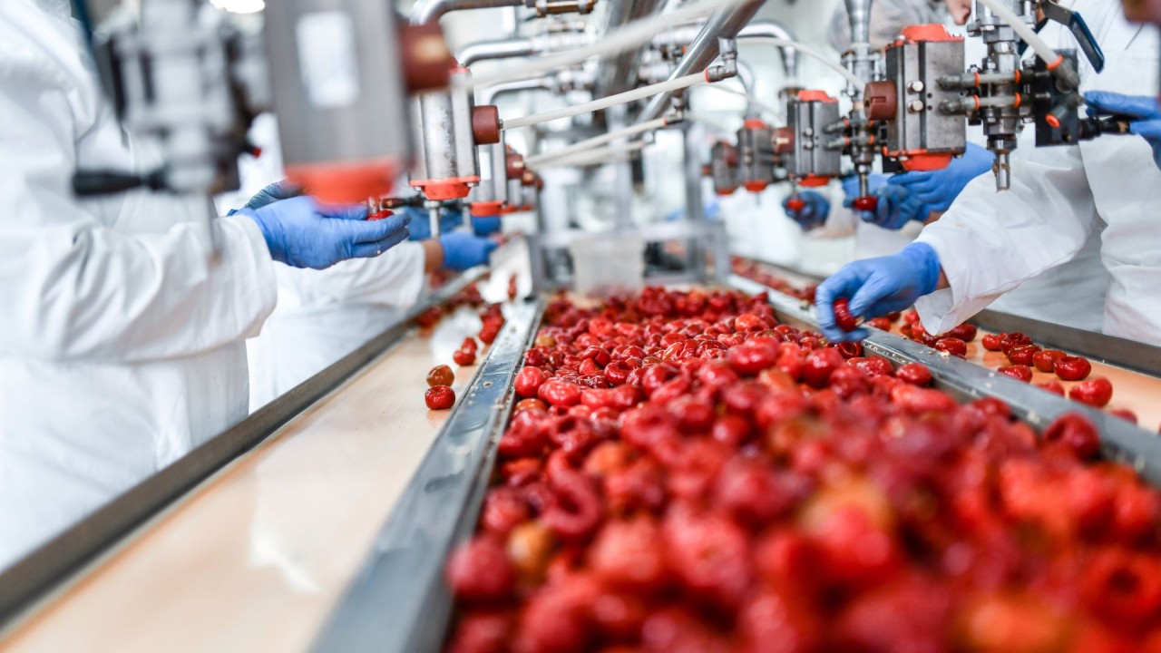 Mastering Process Mapping in the Food Manufacturing Industry Mastering Process Mapping in the Food Manufacturing Industry