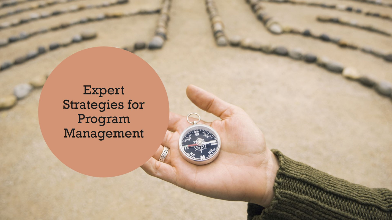 Navigating Program Management: Expert Strategies for Excellence Navigating Program Management: Expert Strategies for Excellence