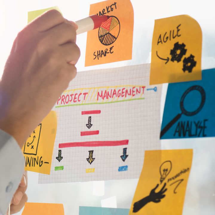 NAVIGATING THE PITFALLS OF PROJECT MANAGEMENT NAVIGATING THE PITFALLS OF PROJECT MANAGEMENT
