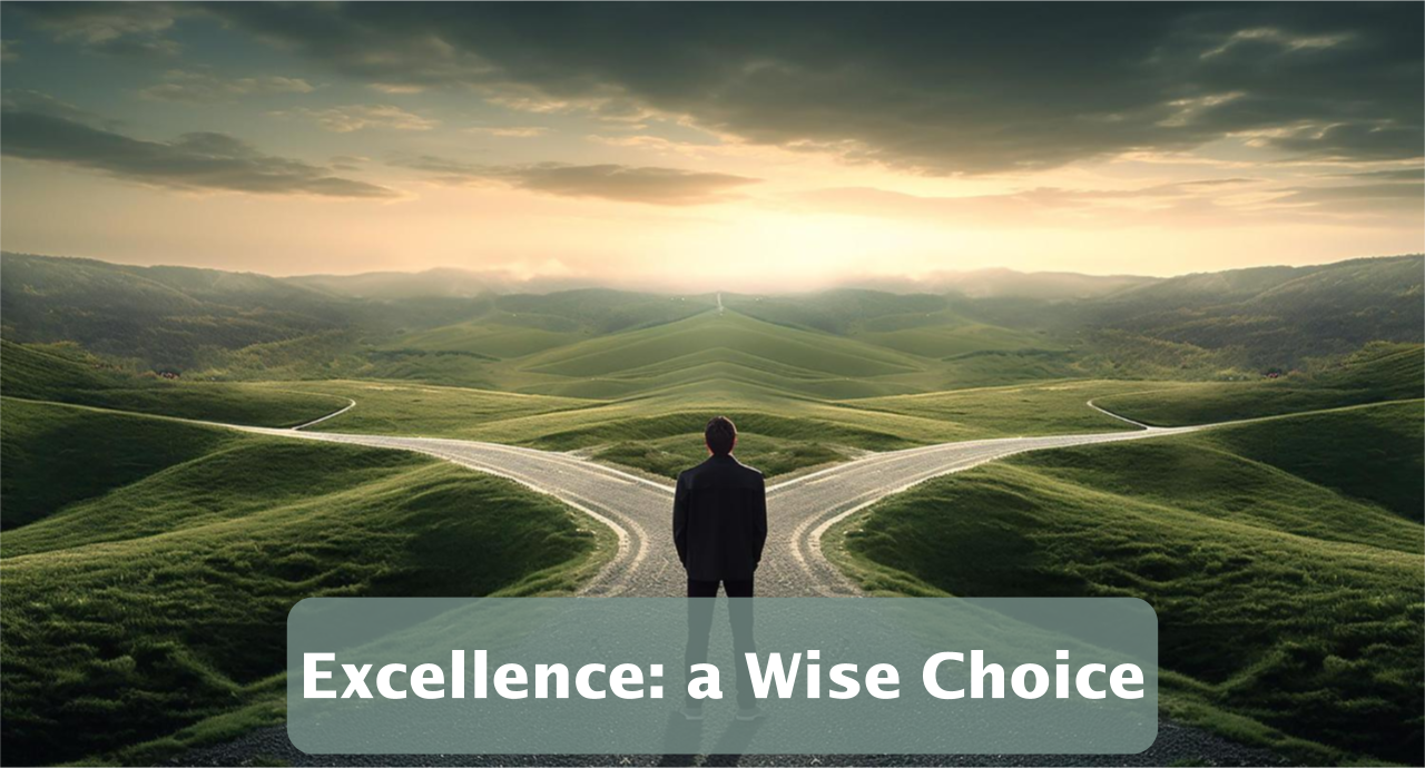Excellence: a Wise Choice Excellence: a Wise Choice