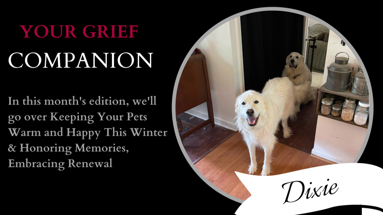 Keeping Your Pets Warm and Happy This Winter and Honoring Memories ... Keeping Your Pets Warm and Happy This Winter and Honoring Memories ...