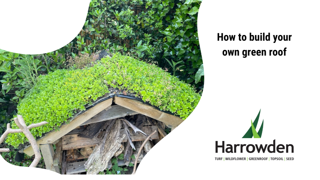 How to build your own green roof How to build your own green roof