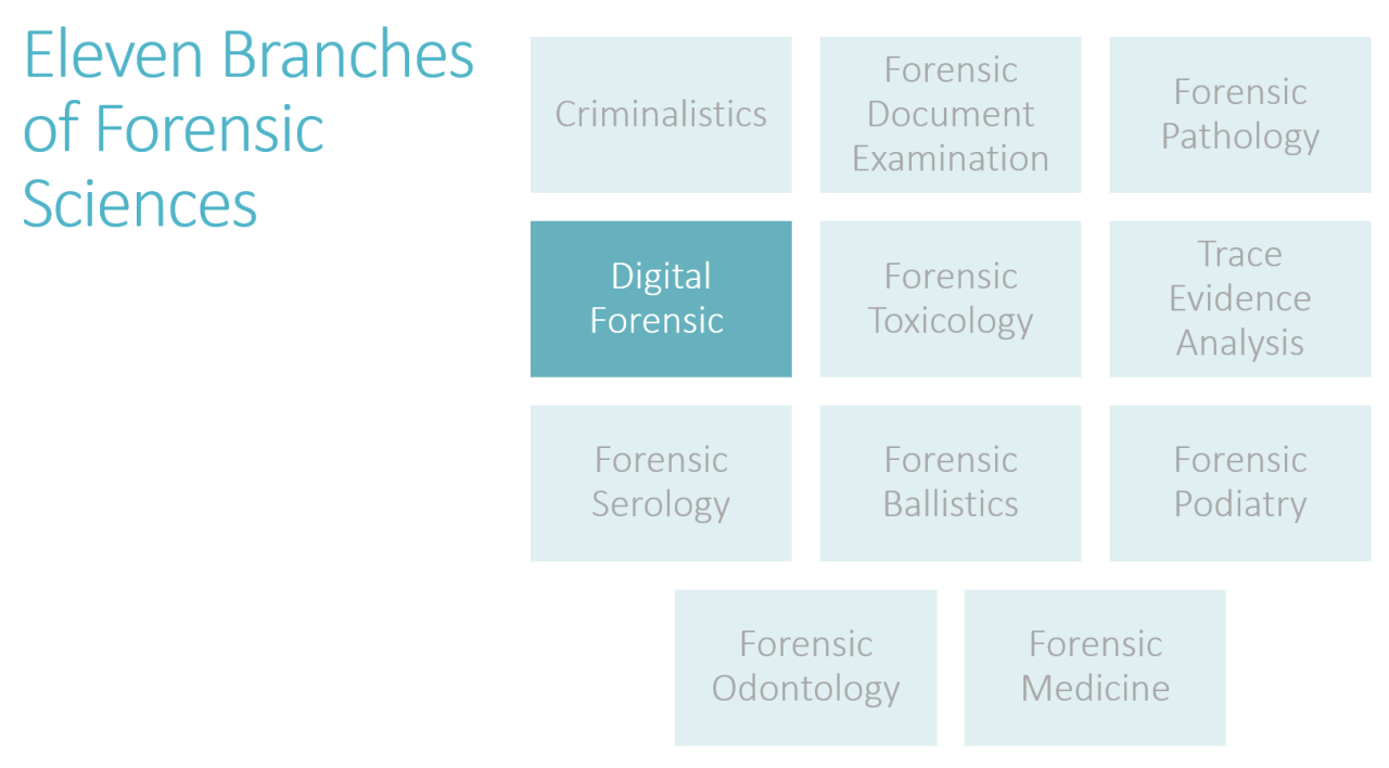 Why Digital Forensics is Important to Executives Why Digital Forensics is Important to Executives