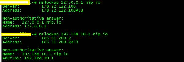 wildcard DNS for any IP Address wildcard DNS for any IP Address