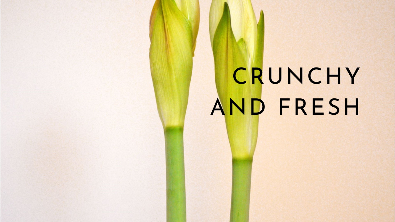 Harnessing Celery for Asynchronous Task Processing in EasySBOM by NetGoalie Harnessing Celery for Asynchronous Task Processing in EasySBOM by NetGoalie