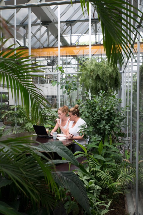 Apa yang dimaksud dengan konsep Arsitektur Biophilic? Apa yang dimaksud dengan konsep Arsitektur Biophilic?