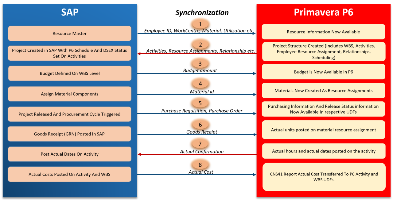 SAP - P6 Integration (Pre-built Solution) SAP - P6 Integration (Pre-built Solution)