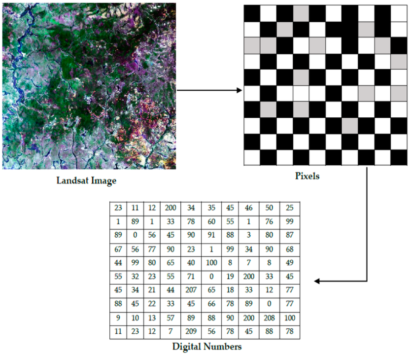 Comment fonctionne les moteurs de recherche par image Comment fonctionne les moteurs de recherche par image