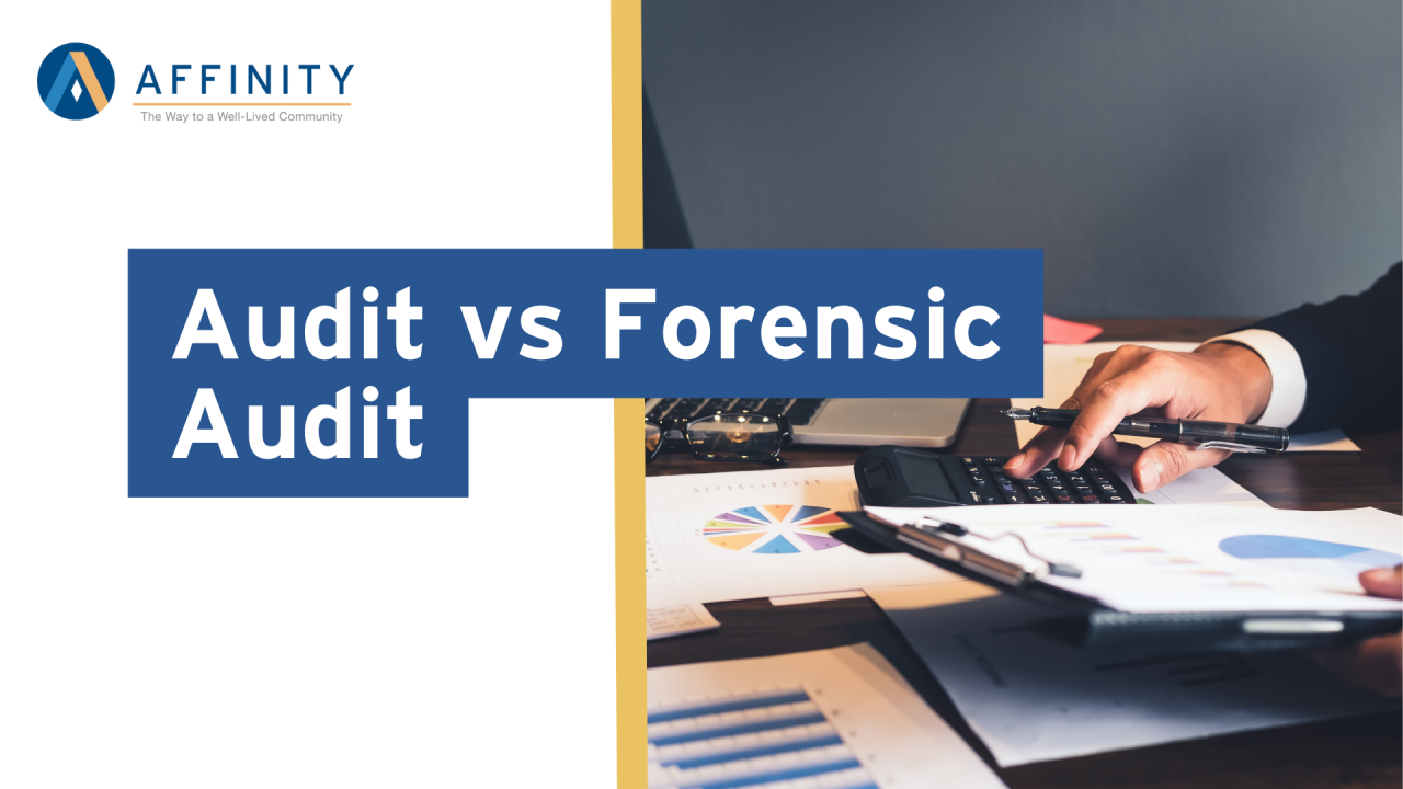 Elevating Financial Oversight: Unpacking the Distinction Between Audits ... Elevating Financial Oversight: Unpacking the Distinction Between Audits ...