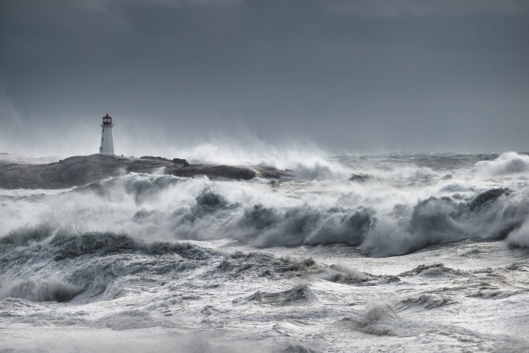 Thriving in Turbulence: 5 Strategies for Investing in a Volatile Market. Thriving in Turbulence: 5 Strategies for Investing in a Volatile Market.