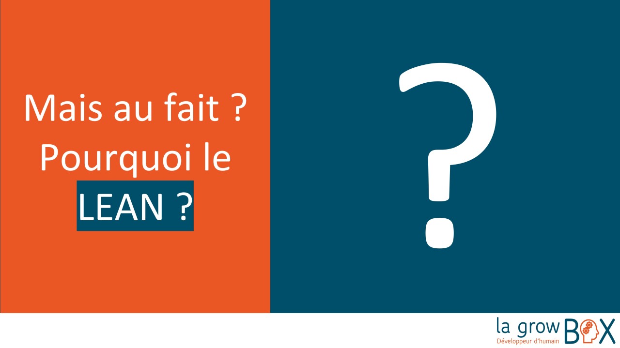 Mais au fait ? Pourquoi le LEAN ? | Pierre Sirot Mais au fait ? Pourquoi le LEAN ? | Pierre Sirot