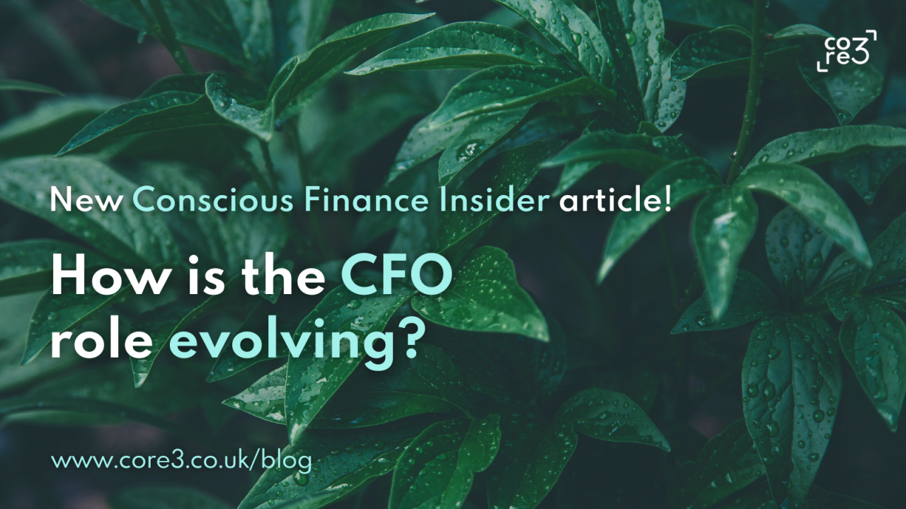 How is the CFO role evolving? | Leo Hewett How is the CFO role evolving? | Leo Hewett