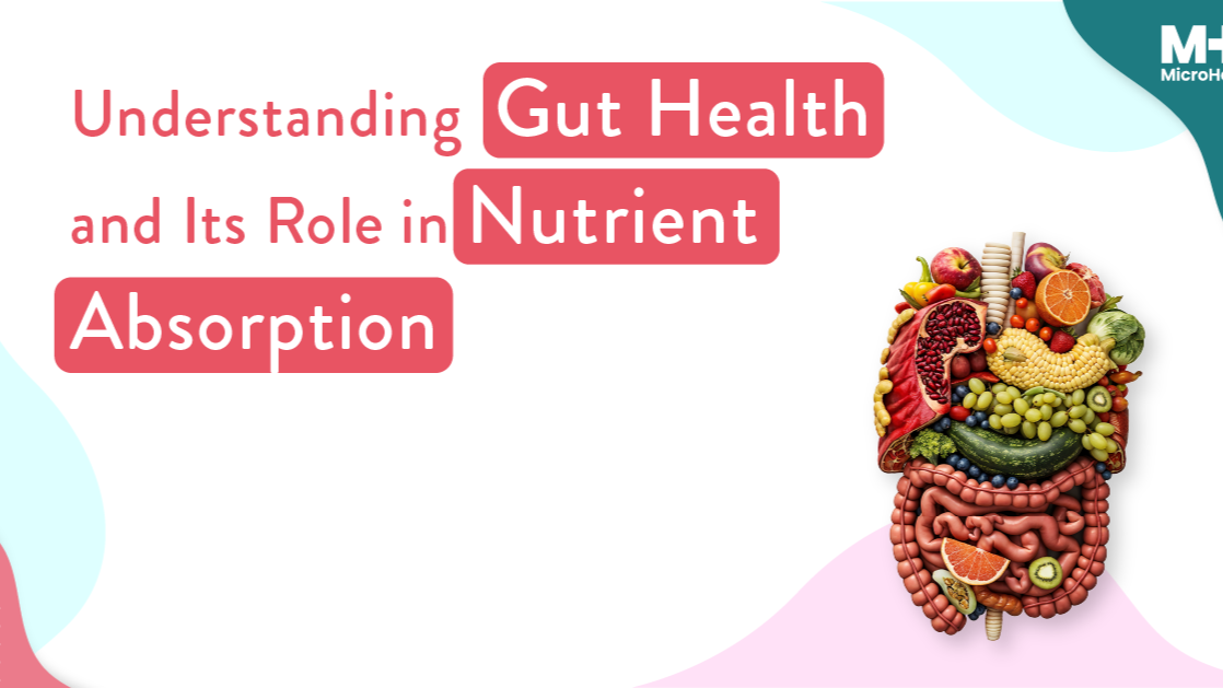 Understanding Gut Health and its Role in Nutrient Absorption Understanding Gut Health and its Role in Nutrient Absorption