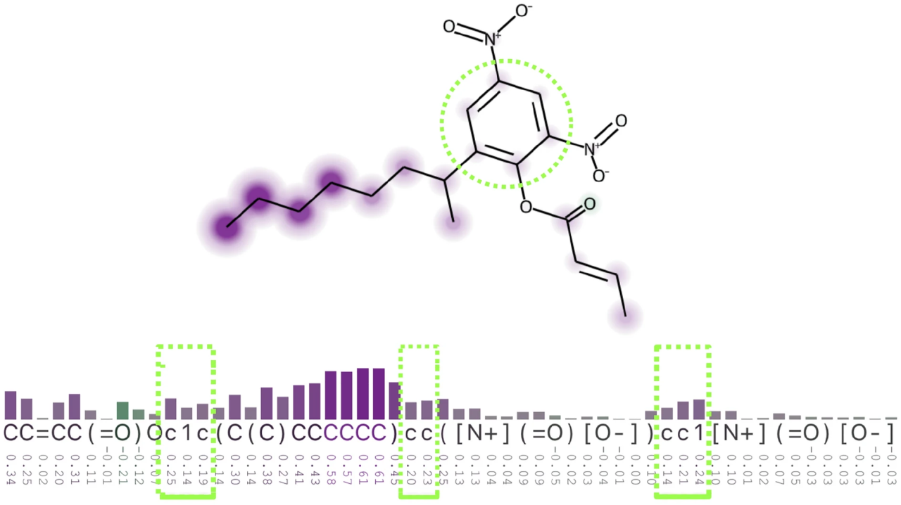 Validating Explanations of Graph Neural Networks (GNNs) In Chemistry Validating Explanations of Graph Neural Networks (GNNs) In Chemistry