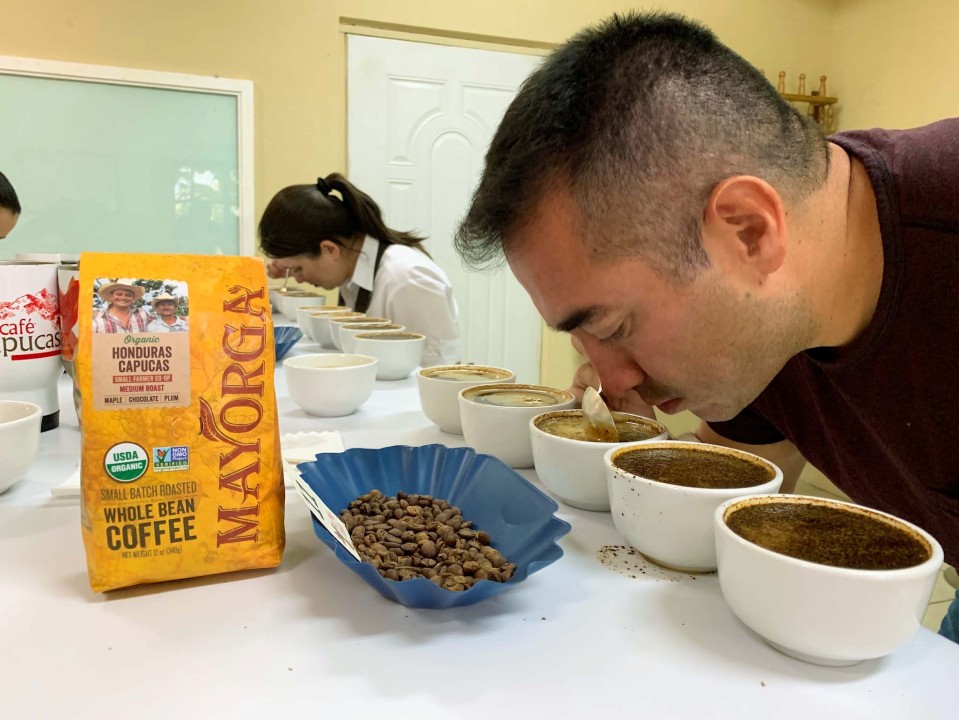 Demystifying Organic Coffee: Separating Fact from Fiction | Mayorga Coffee Demystifying Organic Coffee: Separating Fact from Fiction | Mayorga Coffee