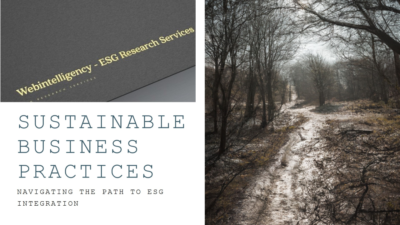 Challenges in Integrating ESG Indicators; Navigating the Path to ... Challenges in Integrating ESG Indicators; Navigating the Path to ...