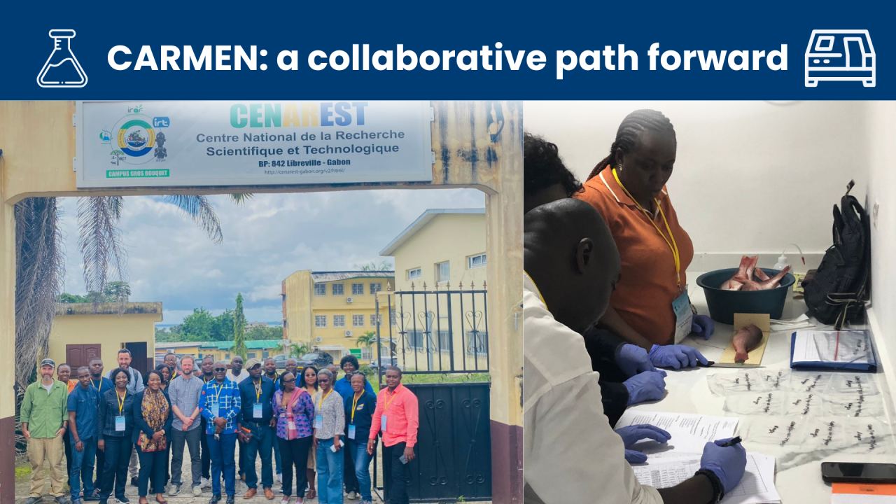 CARMEN: a collaborative path forward CARMEN: a collaborative path forward