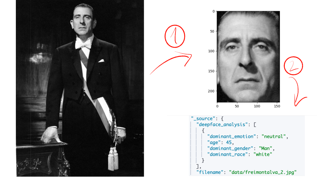 DeepFace Python library do face detection and analysis data ingested ... DeepFace Python library do face detection and analysis data ingested ...