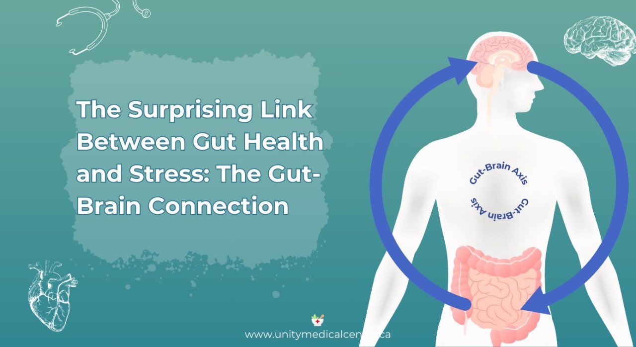 The Surprising Link Between Gut Health and Stress The Surprising Link Between Gut Health and Stress