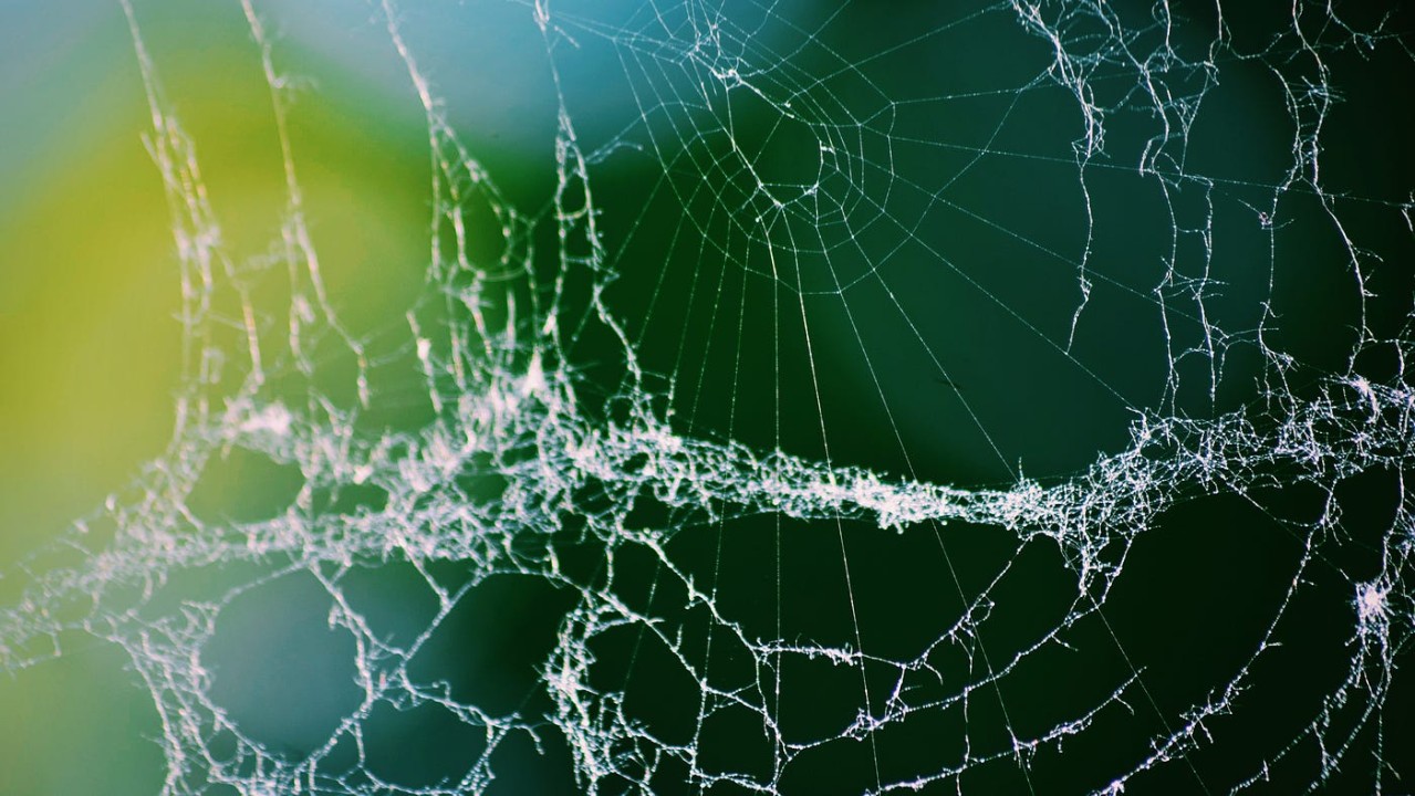 Untangling Threads: Navigating the Web of Relationships with Trust and ... Untangling Threads: Navigating the Web of Relationships with Trust and ...