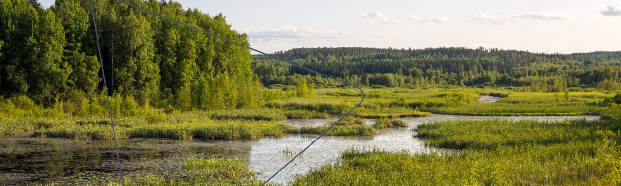 Funding for pioneering nature projects to identify carbon capture | Tom ... Funding for pioneering nature projects to identify carbon capture | Tom ...