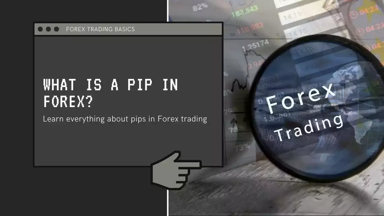 What is a PIP In Forex What is a PIP In Forex