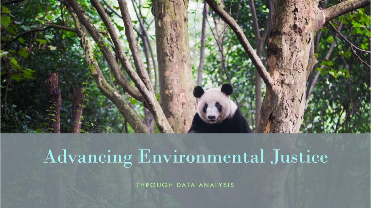 Advancing Environmental Justice Through Data Analysis Advancing Environmental Justice Through Data Analysis