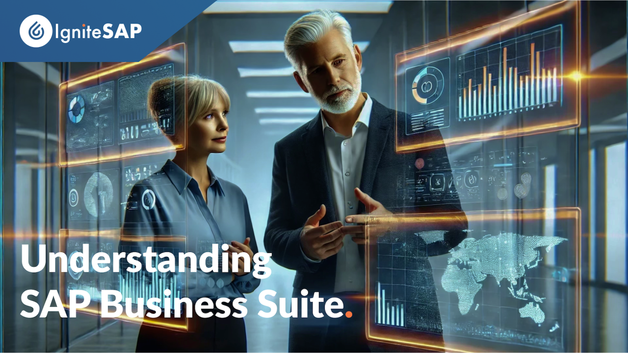 Understanding SAP Business Suite Understanding SAP Business Suite