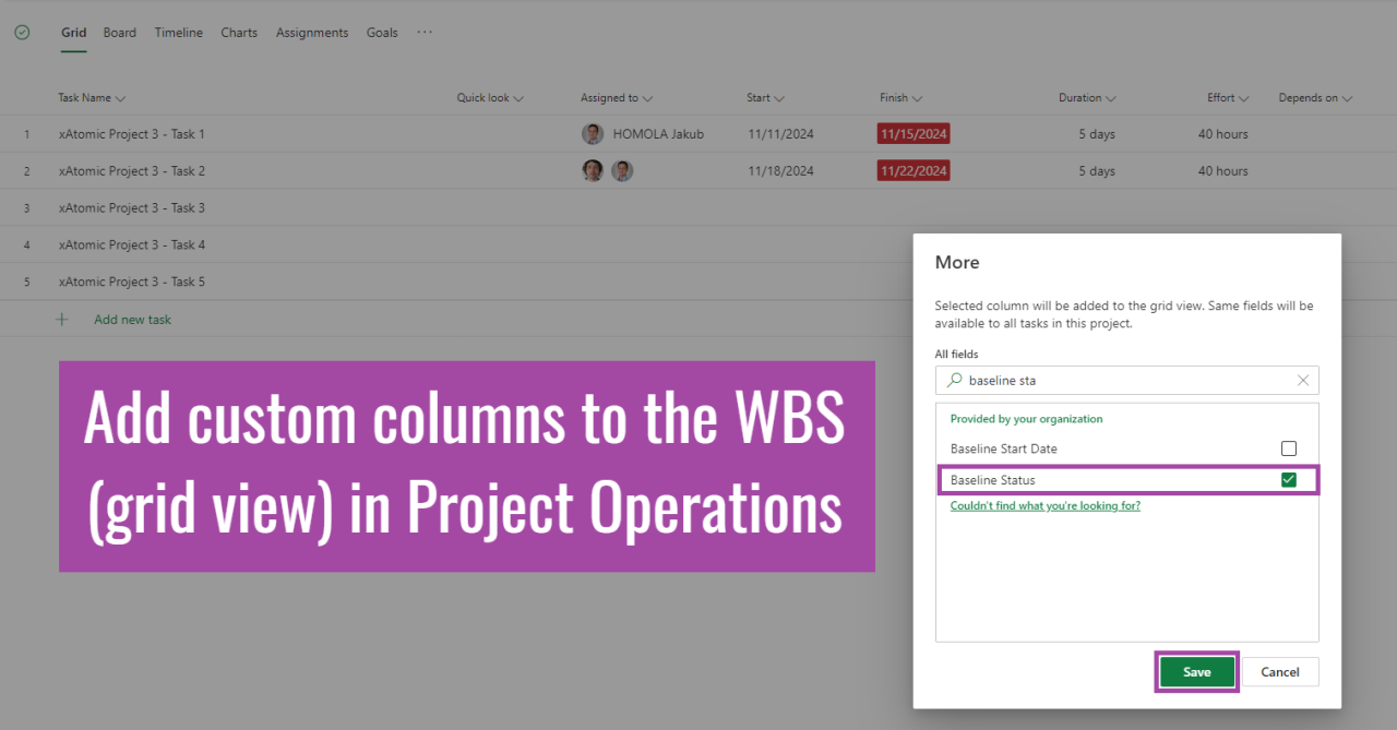 Add custom columns to the WBS (grid view) in Project Operations Add custom columns to the WBS (grid view) in Project Operations