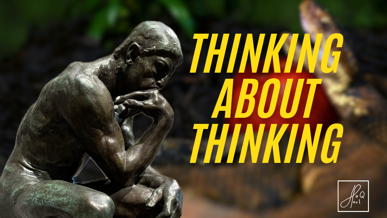 The Mindful Marketer: Mastering Metacognition The Mindful Marketer: Mastering Metacognition