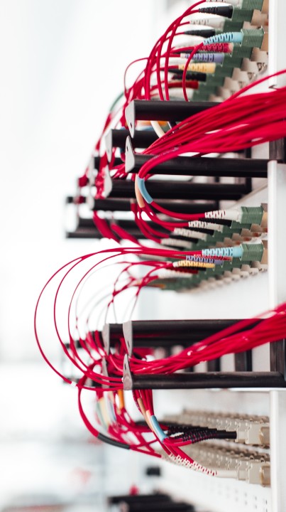 Navigating Red Tape in Public Sector IT Recruitment Navigating Red Tape in Public Sector IT Recruitment