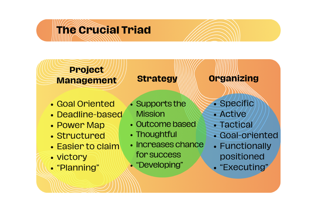 The Crucial Triad: Strategy, Organizing, and Project Management Towards ... The Crucial Triad: Strategy, Organizing, and Project Management Towards ...