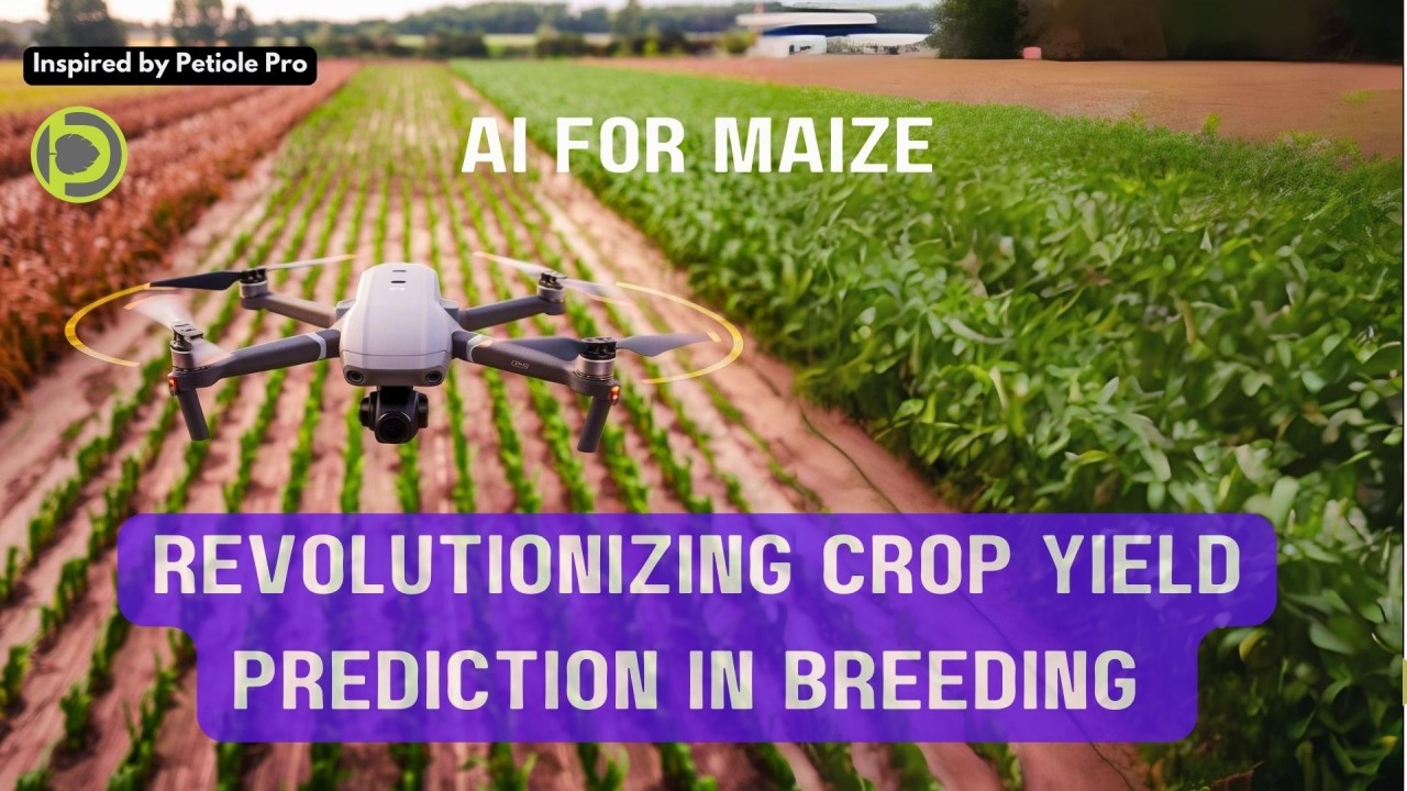 🌽AI for Maize: Revolutionizing Crop Yield Prediction in Breeding 🌽 🌽AI for Maize: Revolutionizing Crop Yield Prediction in Breeding 🌽