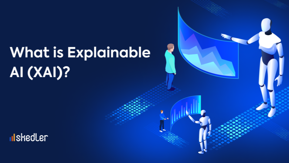 The Importance of Explainable AI The Importance of Explainable AI