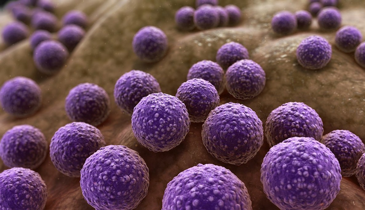 India’s Fight Against Antimicrobial Resistance India’s Fight Against Antimicrobial Resistance