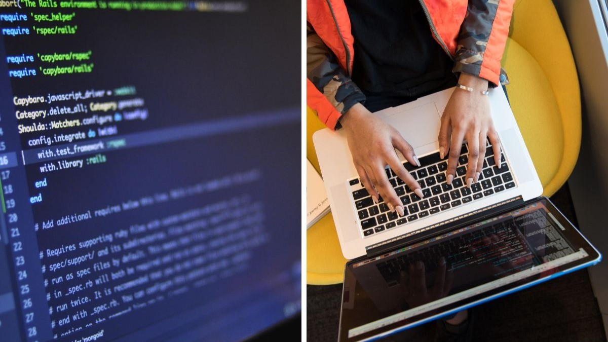 Difference between Python programming and Python developer Difference between Python programming and Python developer
