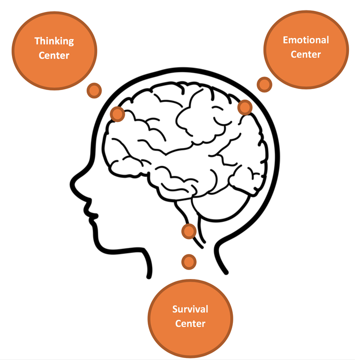 Mastering Self-Regulation | Arlette Shohmelian - Parent Mindset Coach ... Mastering Self-Regulation | Arlette Shohmelian - Parent Mindset Coach ...