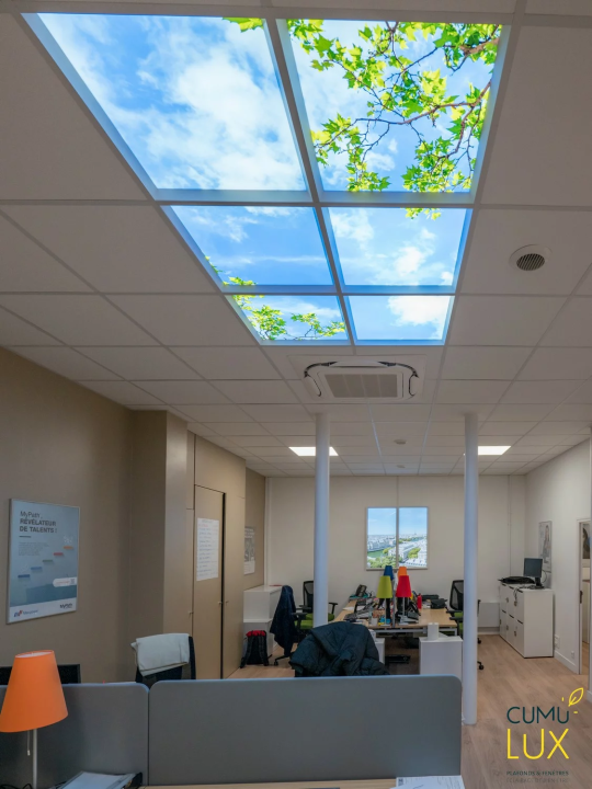 L’importance et les bienfaits de la vue de la nature dans l ... L’importance et les bienfaits de la vue de la nature dans l ...