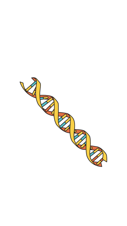 Genetic Algorithms Genetic Algorithms