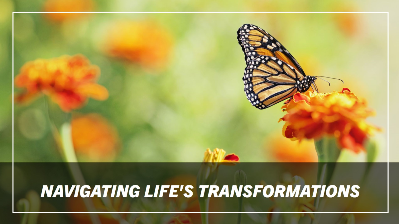 Allergic to Change: Navigating Life's Transformations Allergic to Change: Navigating Life's Transformations