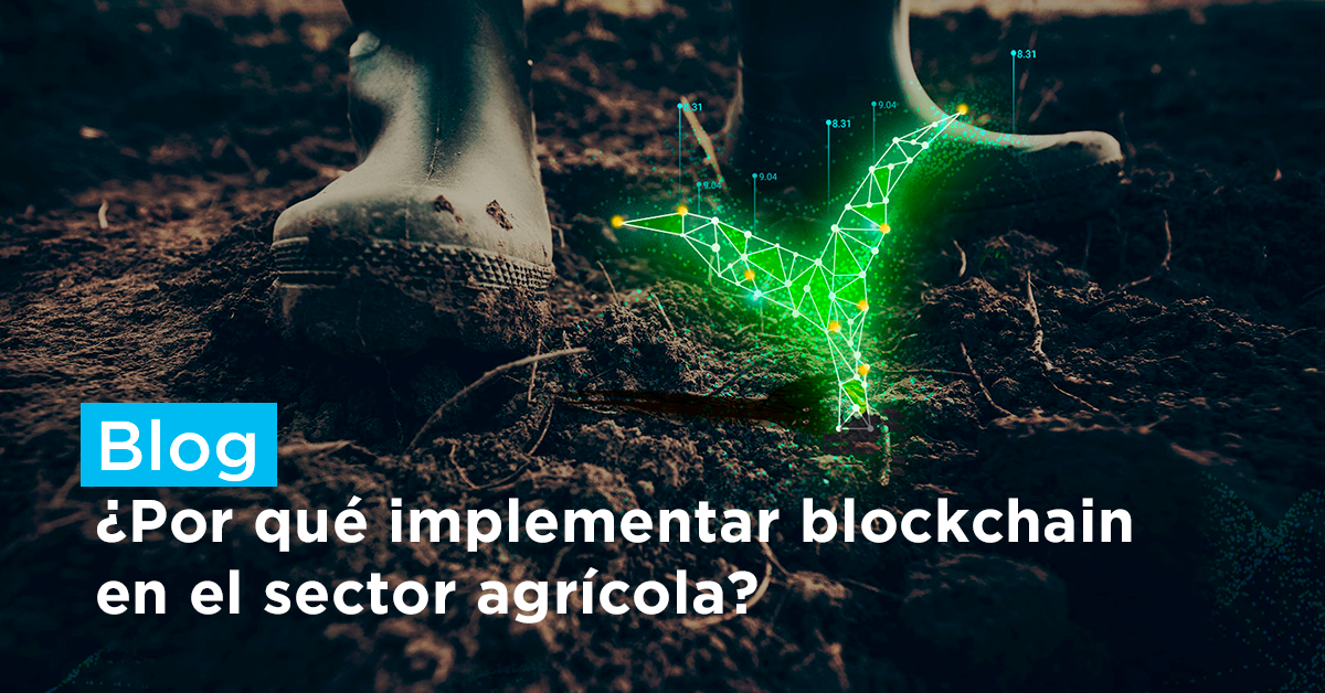 ¿Blockchain en el sector agrícola? ¿Blockchain en el sector agrícola?