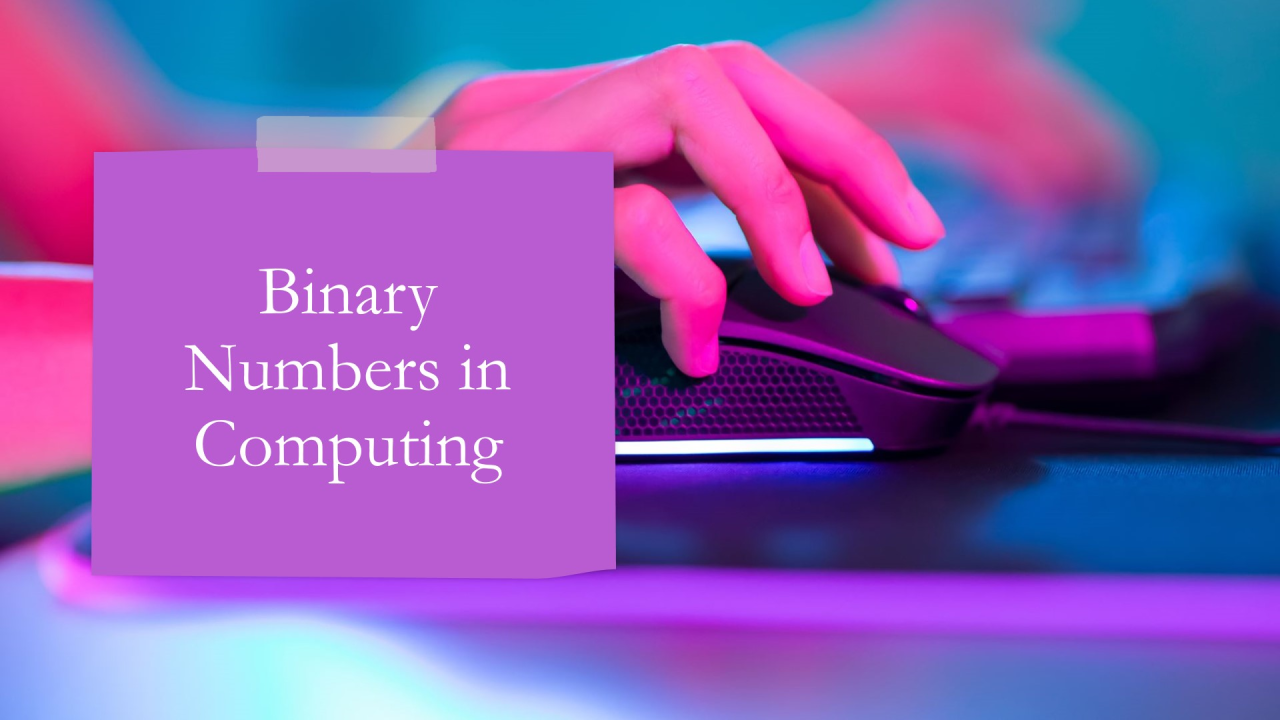 Understanding Binary Numbers using Python Understanding Binary Numbers using Python