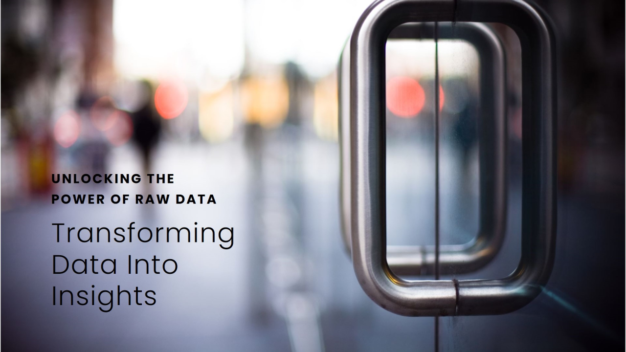 Data Leadership: Transforming Raw Data into Actionable Insights Data Leadership: Transforming Raw Data into Actionable Insights