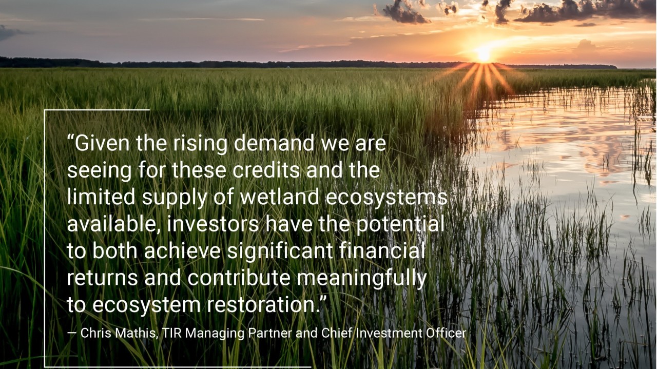 Unlocking new revenue streams: how wetland mitigation banks are ... Unlocking new revenue streams: how wetland mitigation banks are ...