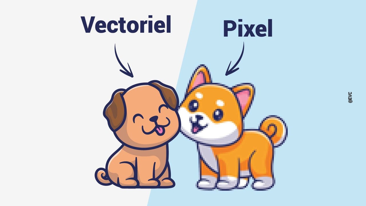 Comment savoir si votre image est en pixels ou vectorielle Comment savoir si votre image est en pixels ou vectorielle