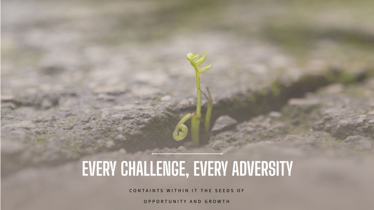 Small Steps, Big Impact: Embracing Growth Through Life’s Challenges Small Steps, Big Impact: Embracing Growth Through Life’s Challenges