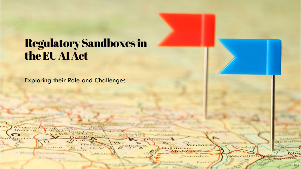 The Role and Challenges of Regulatory Sandboxes in the EU AI Act The Role and Challenges of Regulatory Sandboxes in the EU AI Act