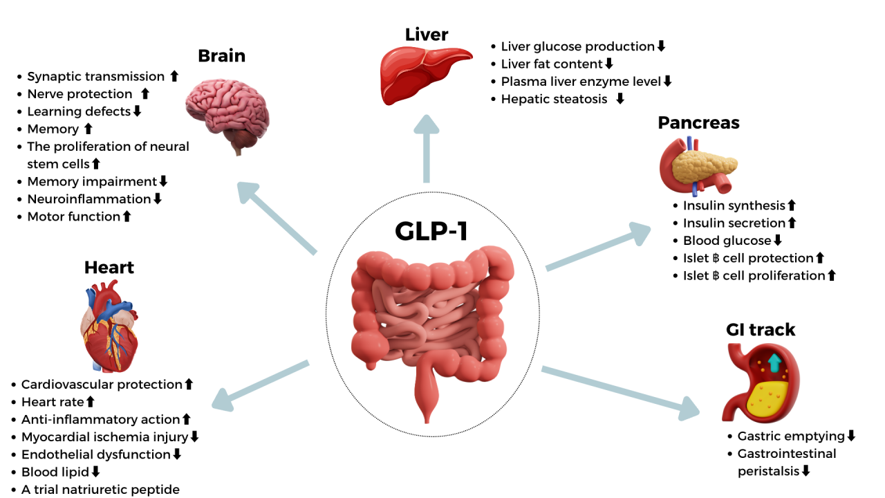 The Unstoppable Rise of GLP-1 Agonists: Revolutionising Diabetes and ... The Unstoppable Rise of GLP-1 Agonists: Revolutionising Diabetes and ...